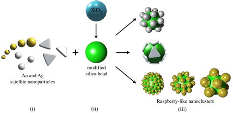 Strategy In Three Steps Adopted In This Work To Prepare The