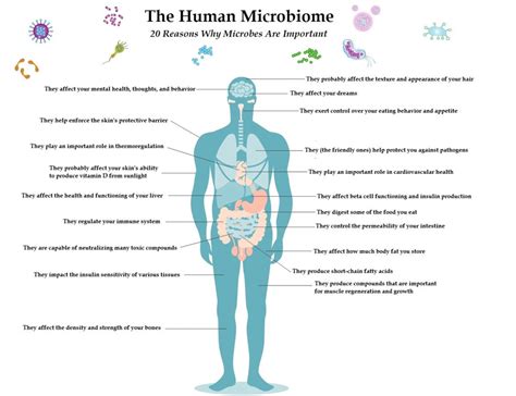 Human Microbiome Unveiling Its Profound Significance