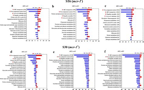 Artesunate Edta And Colistin Work Synergistically Against Mcr