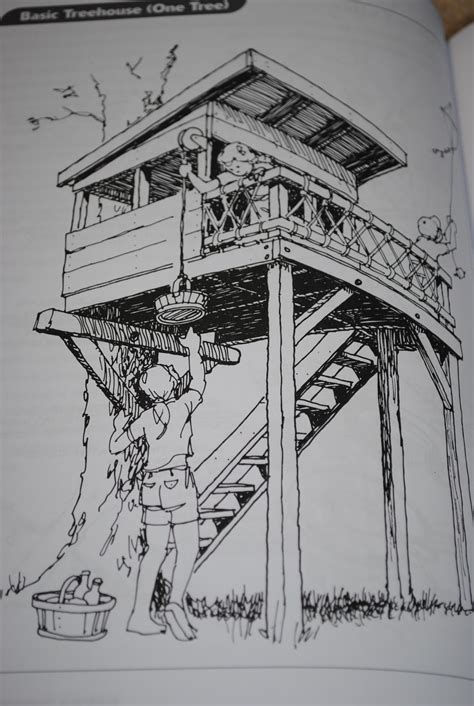 Measure Once And Cut Twice Building A Treehouse Is A Lot Of Work