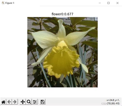 Tensorflow22实现resnet34花的识别from Tensorflowkerasapplications