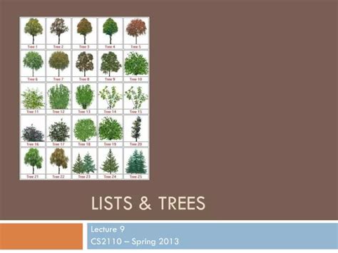 ppt lists and trees powerpoint presentation free download id 2124692