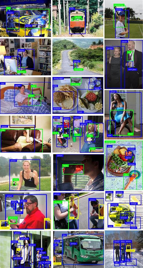 Visualization Of Multi Label Image Classification Results The Green