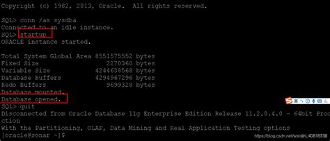 Linux下启动关闭oracle服务和 Oracle监听启动关闭查看状态51cto博客linux下的oracle监听服务怎么关闭 Linux下启动关闭oracle服务和 Oracle监听启动关闭查看状态51cto博客linux下的oracle监听服务怎么关闭