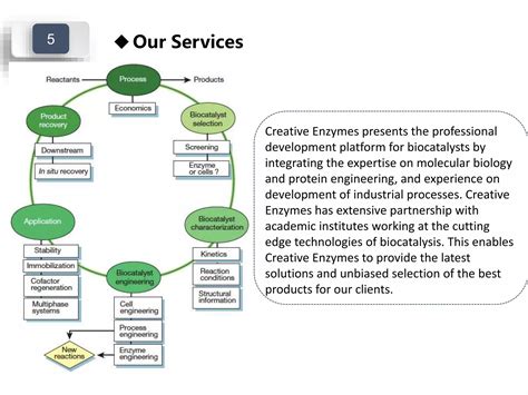 Biocatalysis Services At Creative Enzymes Ppt