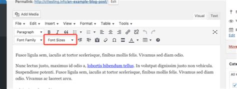 How To Change Font Sizes In WordPress Posts Compete Themes