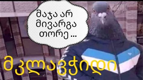 ვარჯიშები დამწყებთათვის მკლავჭიდი Youtube