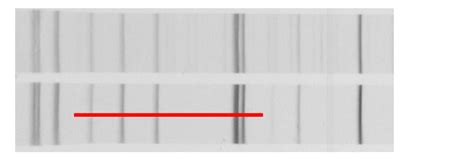 Analyzing And Enhancing Images Image Processing Toolbox
