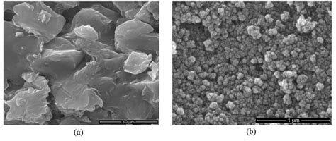 Sem Profiles Of A By A Sio2 And B C Sio2 Particles In Higher Download Scientific Diagram