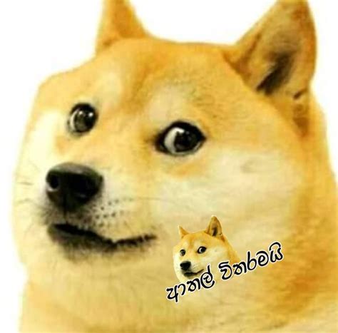 ආතල් විතරමයි