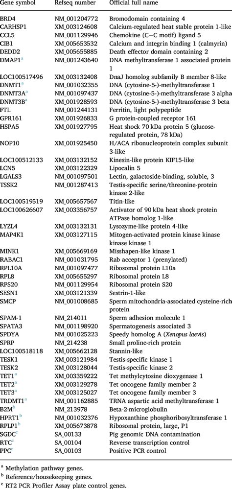 Gene Identification For Custom RT2 Profiler PCR Assay CAPS13099 Download Scientific Diagram