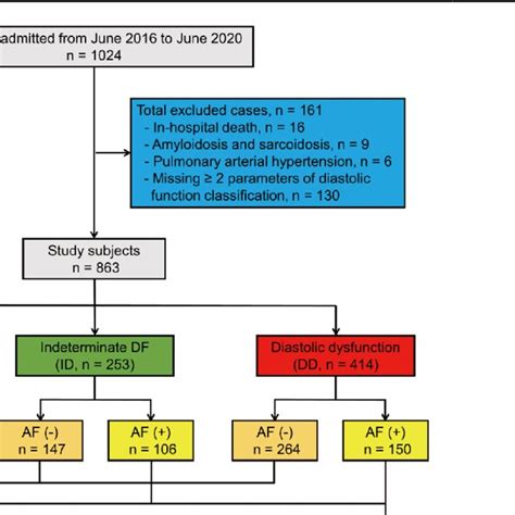 Patient Selection And Classification Af Atrial Fibrillation Df