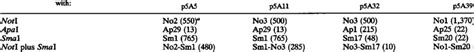 Localization Of The Noti Site Overlapping Fragments Chromosomal