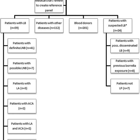 A Flow Chart Demonstrating The Inclusion And Classification Process In Download Scientific