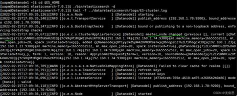 Es集群状态检查报错：masternotdiscoveredexception 503错误master Not Discovered