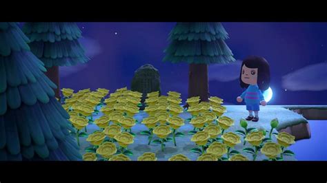 Frisk At The Top Of Mt Ebbot Rundertale