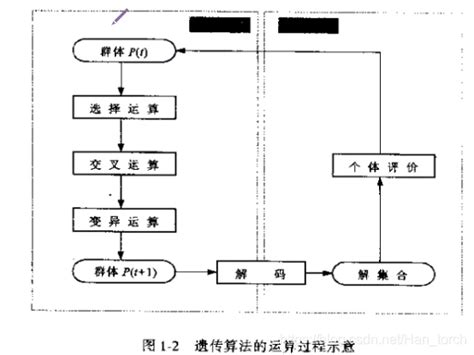 遗传算法1（观看b站视频笔记，含示例代码） 遗传算法 b站 csdn博客
