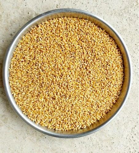 Brown Hybrid Wheat Grain At Rs 30kg In Kareli Id 2852686999412