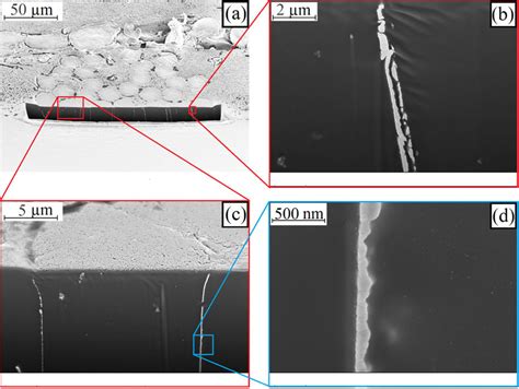 SEM Image Of A FIB Cut On An Untested Sample With Conductors Made Of Download Scientific