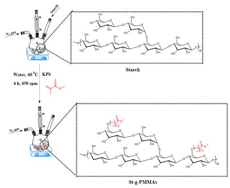 Synthesis Of Starch Grafted Polymethyl Methacrylate Via Free Radical