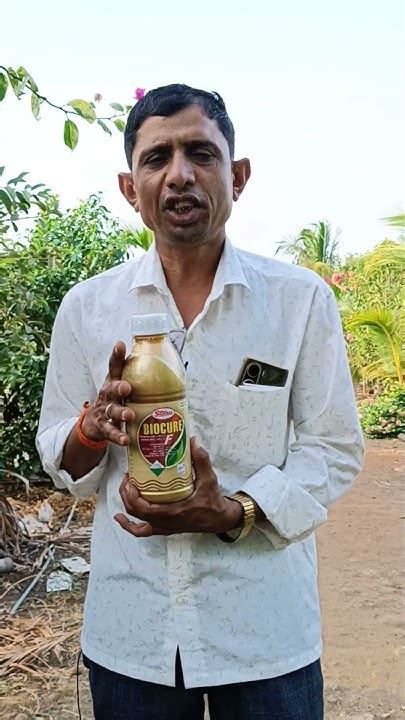 Trichoderma । फंगस का बेहतरीन तोड़ । Fungus। Farming Guava