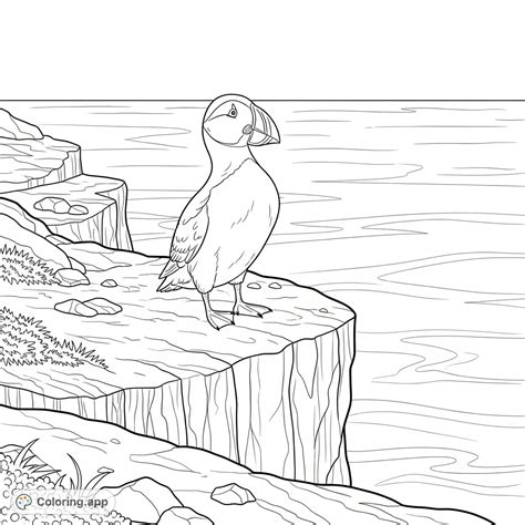 Puffin On Cliff By Ocean Coloringapp
