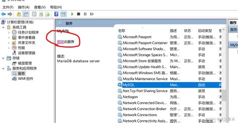 连接数据库出现can‘t connect to mysql server on ‘localhost‘ 10061 的解决方案 t 数据库
