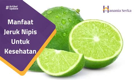 Manfaat Jeruk Nipis Untuk Kesehatan Hanania Serka