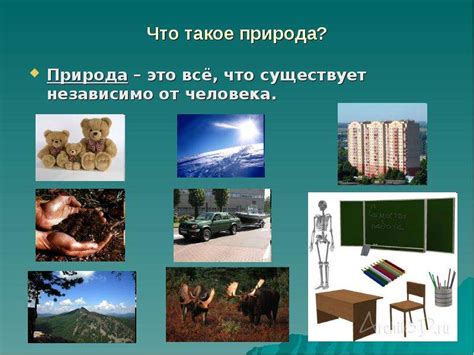 Система Л.В. Занкова Окружающий мир. 1 класс. Урок 2. Тема. Где мы ...
