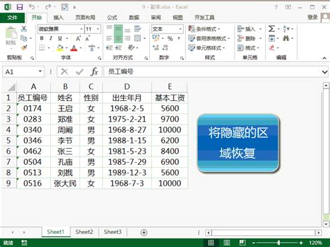excel技巧动画教程十三：excel显示隐藏的行列操作