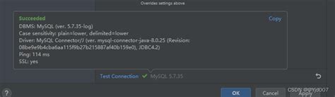 使用mybatisx逆向 生成单表实体类、mapper、service、service的实现类。mybatisx生成实体类 Csdn博客