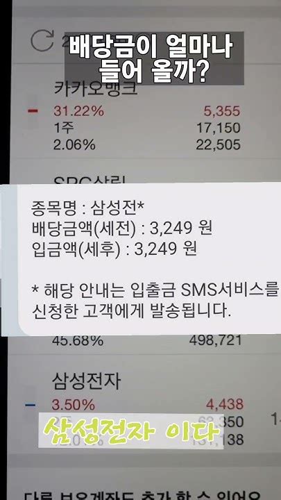 100만원으로 주식하면 배당금은 얼마가 들어올까 주식 Youtube