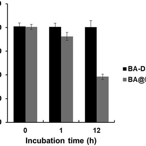 Preparation Of Functionalized Mnps Download Scientific Diagram