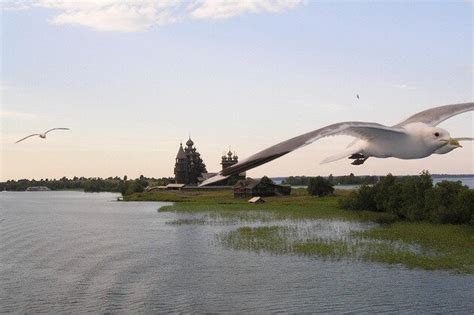 Кижи Plotnikk — Livejournal