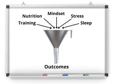 Training More Is Not Always Better Reactive Training Systems