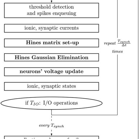workflow of a compute step of the core computation of neuron used as