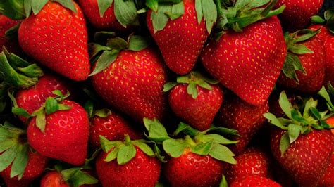 Months Of Erratic Conditions Have Still Managed To Bear Some Fruit