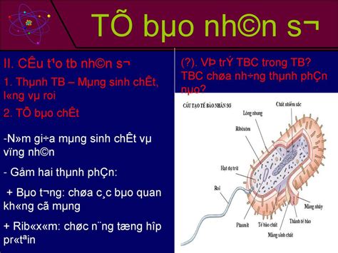 Chng II CÊu tróc tÕ bµo ppt download