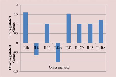 The Figure Shows The Differential Expression Of Transcripts Of