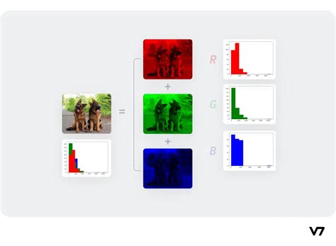 image processing techniques types and applications [2023]