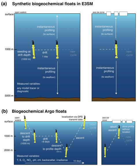 Synthetic Biogeochemical Argo Float Capabilities In E3sm