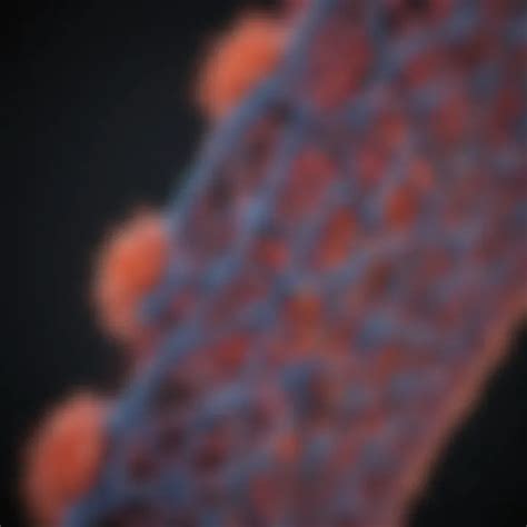 Understanding The Importance Of β Actin In Western Blotting