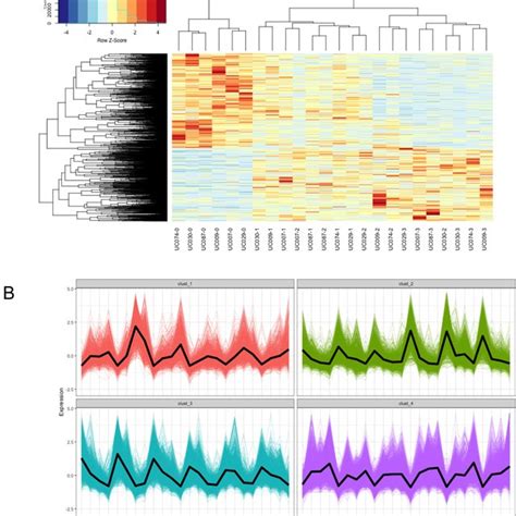clustering analysis of gene expression profiles during fruit