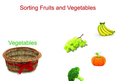Sorting Fruits And Vegetables Worksheetgalaxy