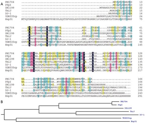 Sequence Alignment And Phylogenetic Tree Of PH A Sequence Download Scientific Diagram