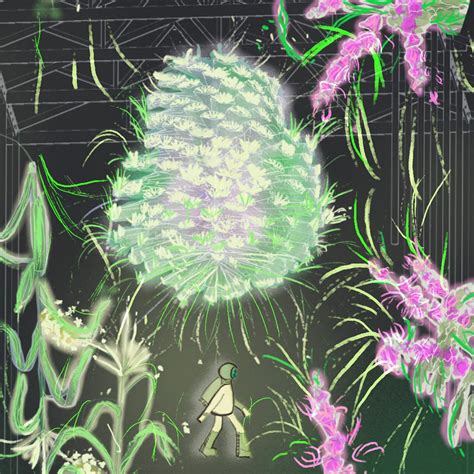 Six Concepts That Aim To Reimagine The Firework