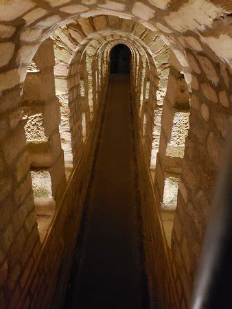 The Paris Catacombs Tripadvisor