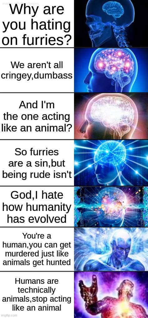 Anti Furry Memes And S Imgflip