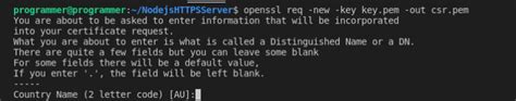 How To Create An HTTPS NodeJS Web Sevice With Express