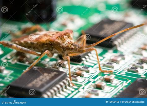 Computer Bug Royalty Free Stock Photos Image 15962158
